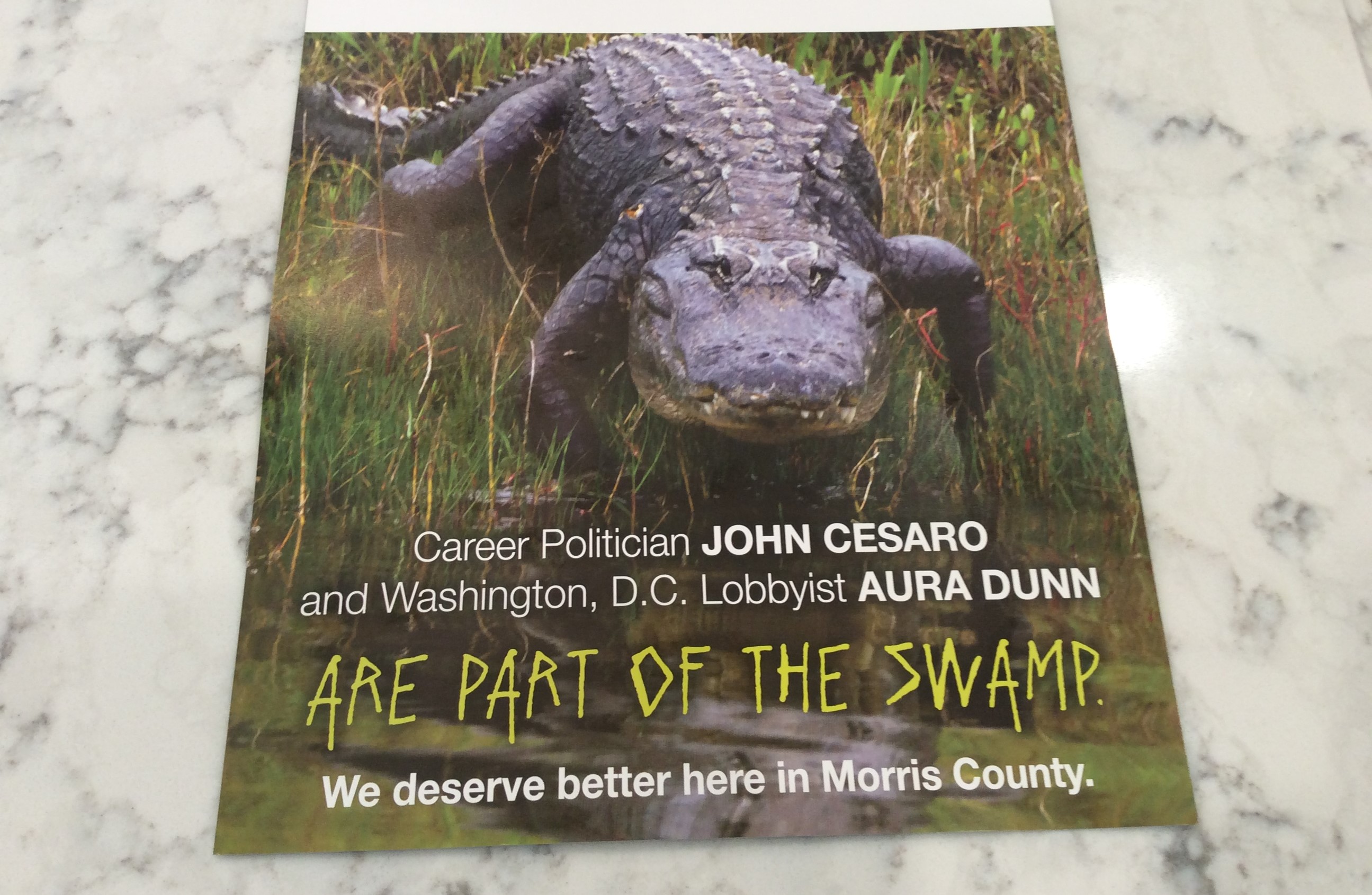 Gators in Morris County - Insider NJ