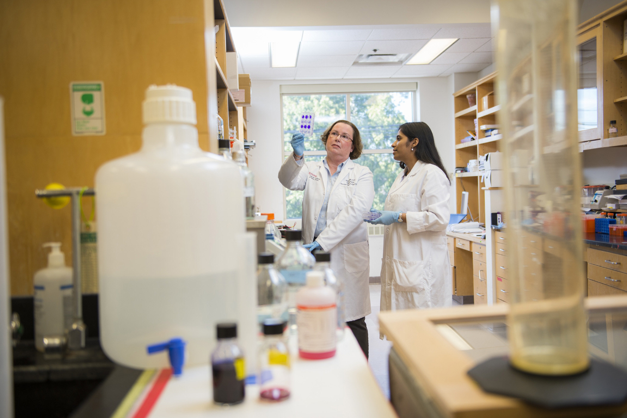 Rutgers University Receives $4M as New Hub Under NIH REACH Program to ...