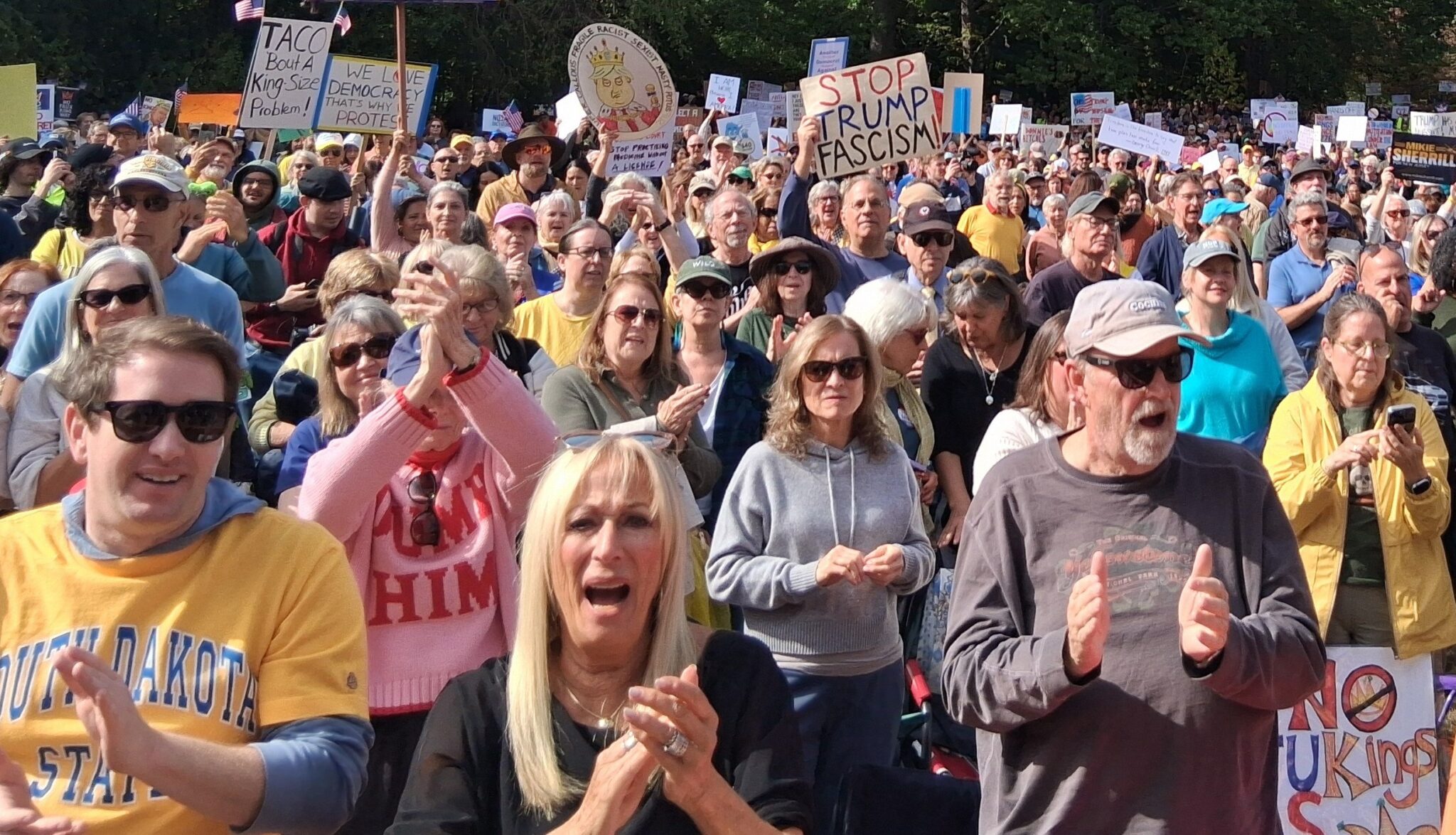 Millions Take to the Streets Nationwide for No Kings Day of Peaceful ...